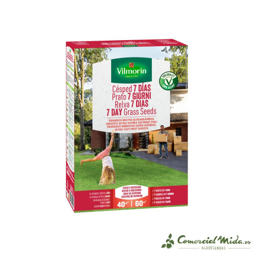 VILMORIN Gras 7 TAGE - 1kg (Neu 2024) – Comercial Mida