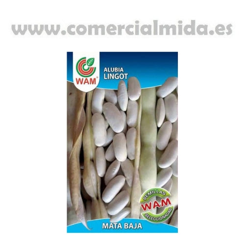 WAM Low Bush Lingot Bean Samen (250 gr.) – Comercial Mida