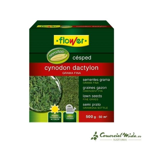 CYNODON DACTYLON GRASS Samen (Feines Gras) 500g – Comercial Mida