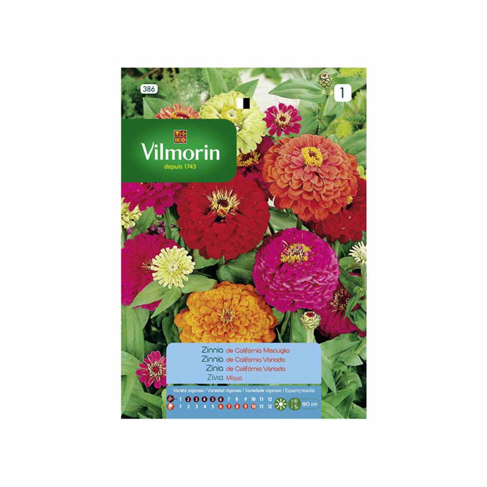 Zinnia Grande California Samen VILMORIN 2gr – Comercial Mida